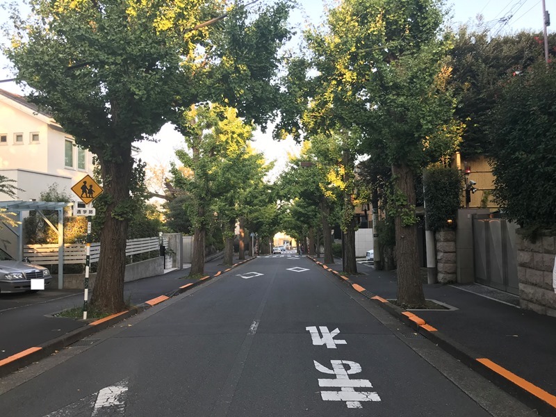 Tokyo Area Guide / DENENCHOFU, Setagaya and Ota-ku | Living in Tokyo ...